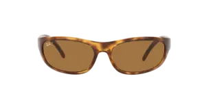 Ray-ban Sunglasses