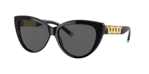 Tiffany & Co. Sunglasses Dark Grey