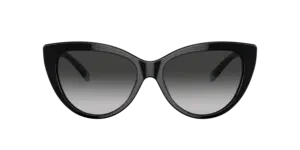 Tiffany & Co. Sunglasses Grey Gradient