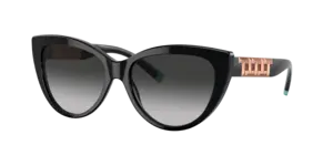Tiffany & Co. Sunglasses - Grey Gradient