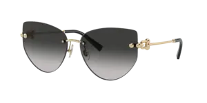 Tiffany & Co. Sunglasses