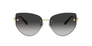 Tiffany & Co. Sunglasses