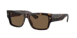 Dolce & Gabbana Dolce&Gabbana Sunglasses Dark Brown