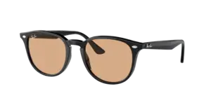 Ray-ban Ray-Ban Sunglasses Brown