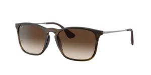 Ray-ban Ray-Ban Sunglasses Brown Gradient