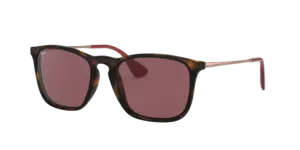 Ray-ban Ray-Ban Sunglasses Dark Violet