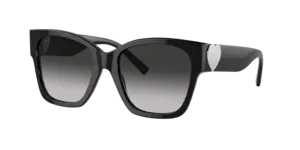 Tiffany & Co. Sunglasses - Grey Gradient