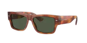 Dolce & Gabbana Dolce&Gabbana Sunglasses Dark Green Polar