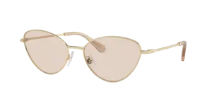 SWAROVSKI Swarovski SK7014 Sunglasses Brown Photo