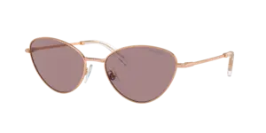 SWAROVSKI Swarovski SK7014 Sunglasses Light Purple Brown