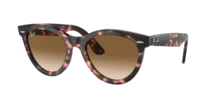 Ray-ban Wayfarer Way Sunglasses - Clear & Brown