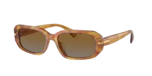 Ralph Lauren Sunglasses Polar Gradient Brown