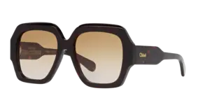 Chloé Ch0154s Sunglasses - Brown