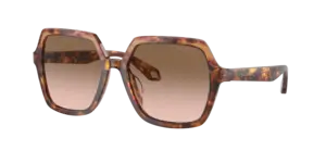 Giorgio Armani Sunglasses - Brown Gradient