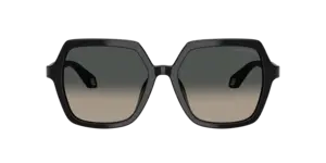Giorgio Armani Sunglasses - Gradient Grey