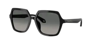 Giorgio Armani Sunglasses - Gradient Grey
