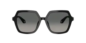 Giorgio Armani Sunglasses - Gradient Grey