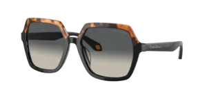 Giorgio Armani Sunglasses - Grey Gradient