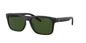 ARNETTE Bandra Sunglasses - Dark Green