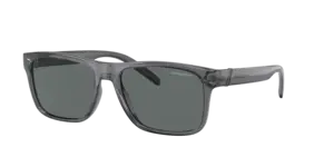ARNETTE Arnette Bandra Sunglasses Polarized Dark Grey