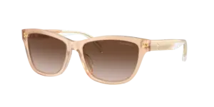 Emporio Armani Emporio Armani Sunglasses Gradient Brown