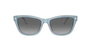 Emporio Armani Sunglasses - Grey Gradient