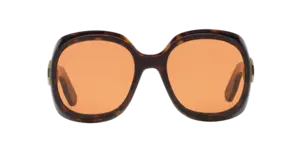 Dior Sunglasses - Brown