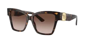 Dolce & Gabbana Dolce&Gabbana Sunglasses Brown Gradient