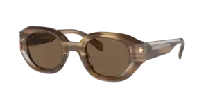 Emporio Armani Sunglasses - Dark Brown