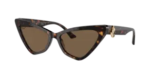 JIMMY CHOO Sunglasses - Dark Brown