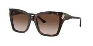 JIMMY CHOO Jimmy Choo Sunglasses Gradient Brown