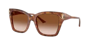 JIMMY CHOO Jimmy Choo Sunglasses Gradient Brown
