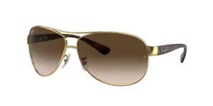 Ray-ban RAY-BAN Sunglasses Brown Gradient