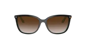 Tiffany & Co. Havana Sunglasses - Brown Gradient