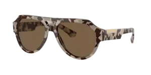 Dolce & Gabbana Sunglasses - Dark Brown