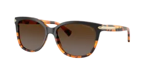 COACH Sunglasses - Brown Gradient Polarized