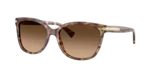 COACH Cat Eye Sunglasses - Brown Gradient