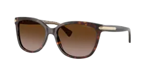 COACH Sunglasses - Dark Brown Gradient
