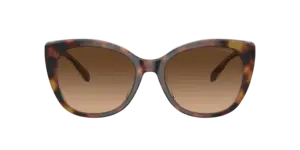 COACH Cat Eye Sunglasses - Brown Gradient