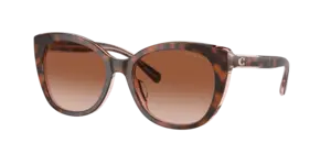 COACH Full Rim Sunglasses - Brown Pink Gradient