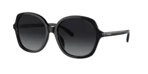COACH Sunglasses