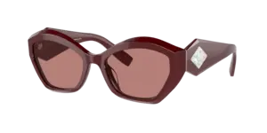 Giorgio Armani Sunglasses - Bordeaux