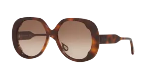 Chloé Ch0195s Sunglasses - Brown