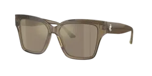 JIMMY CHOO Full Rim Sunglasses - Light Brown Mirror Gold