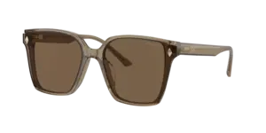 JIMMY CHOO Sunglasses - Dark Brown