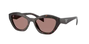 Prada Prada Sunglasses Light Brown