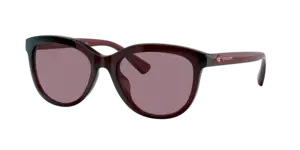 COACH Coach Sunglasses Burgundy Solid Polar