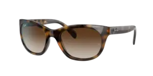 Ray-ban Sunglasses Brown Gradient Dark Brown