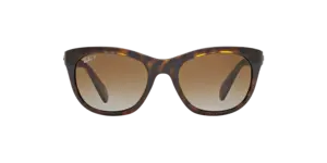 Ray-ban Sunglasses - Brown