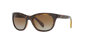 Ray-ban Sunglasses Brown